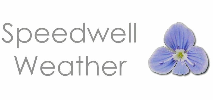 Speedwell formalises global parametric tropical cyclone settlements - Artemis.bm