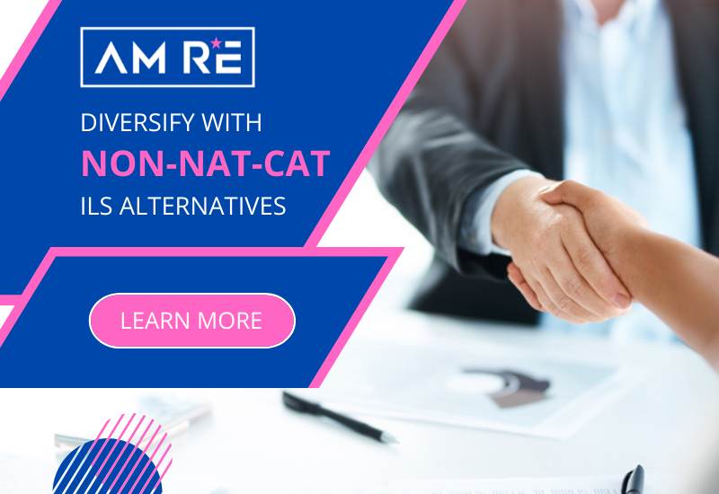 Non-nat-cat alternatives the “perfect hedge” for ILS investors: AM RE ...