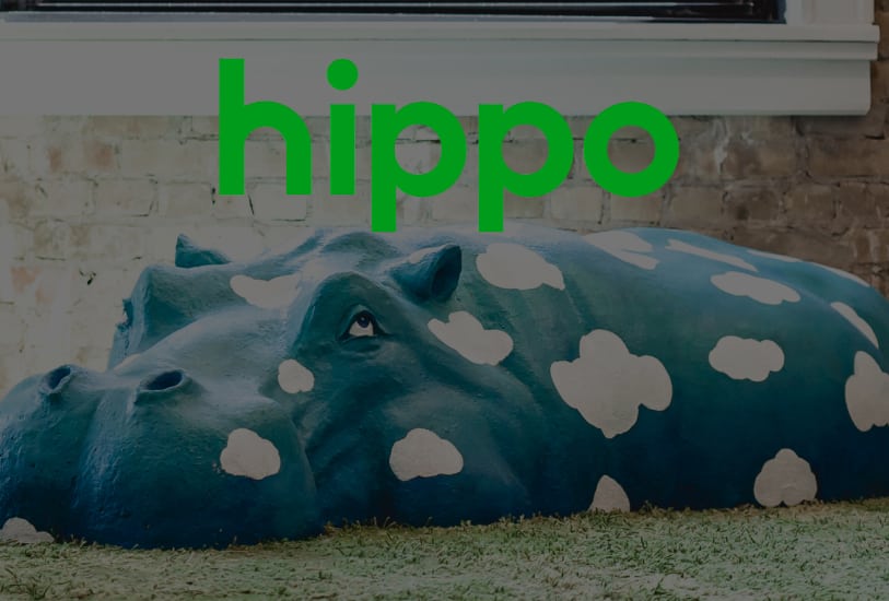 Hippo says reinsurance terms improve, collateralized capacity supports ...