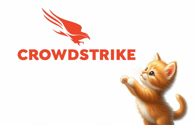 Guy Carpenter says CrowdStrike is a "Kitty Cat", industry losses to be ...